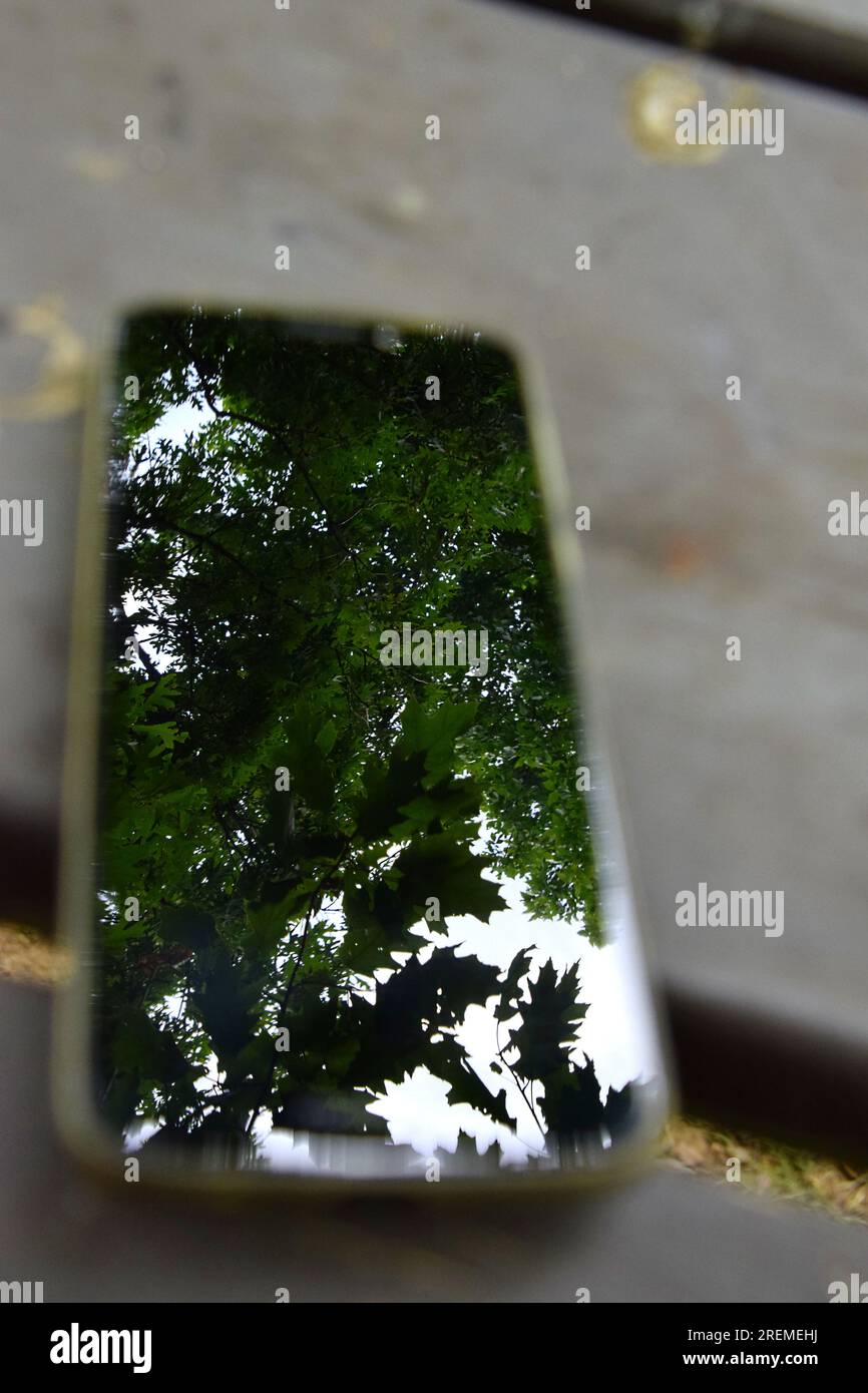 Phone reflections hi-res stock photography and images - Alamy