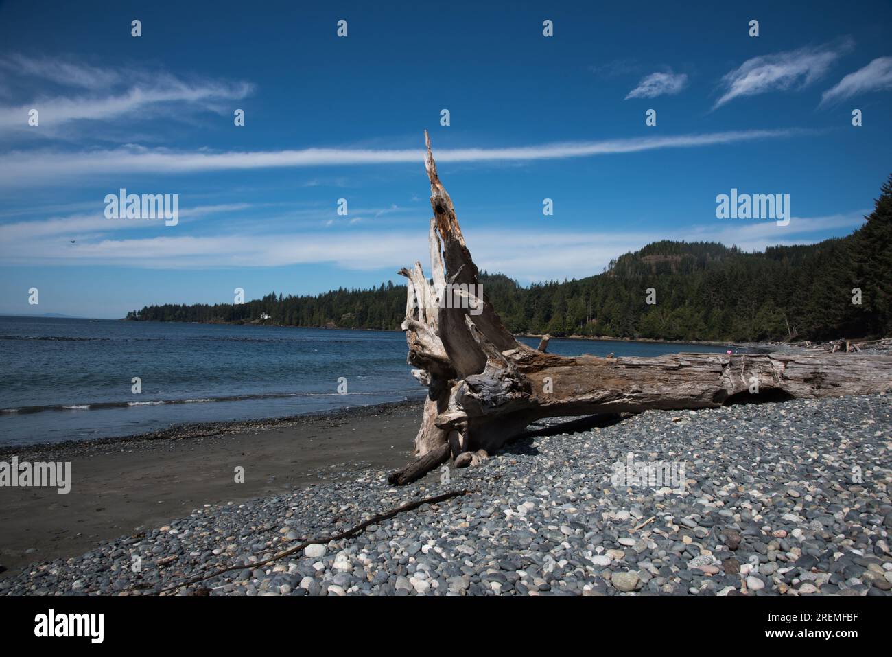 French Beach Park at the southwest park of Vancouver Island is covered ...