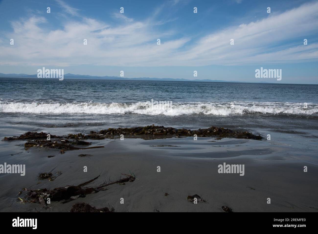 French Beach Park at the southwest park of Vancouver Island is covered ...