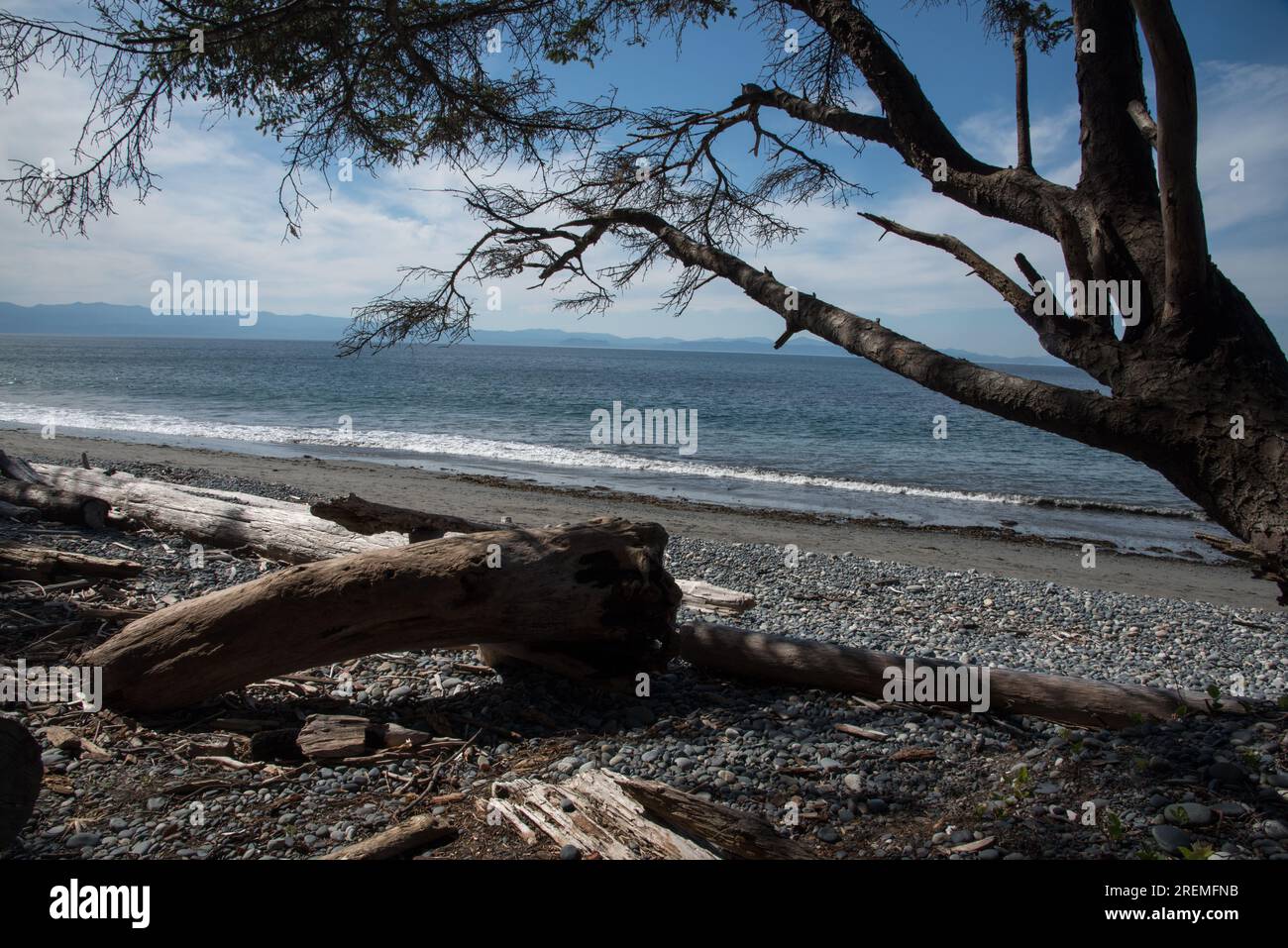 French Beach Park at the southwest park of Vancouver Island is covered ...