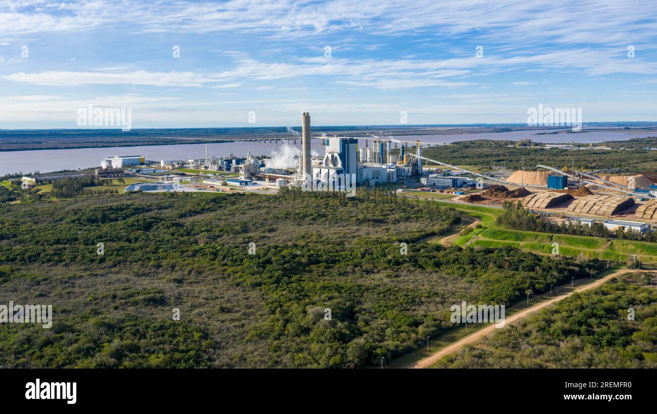 Finnish owned UPM Pulp mill along Uruguay river in Rio Negro department ...