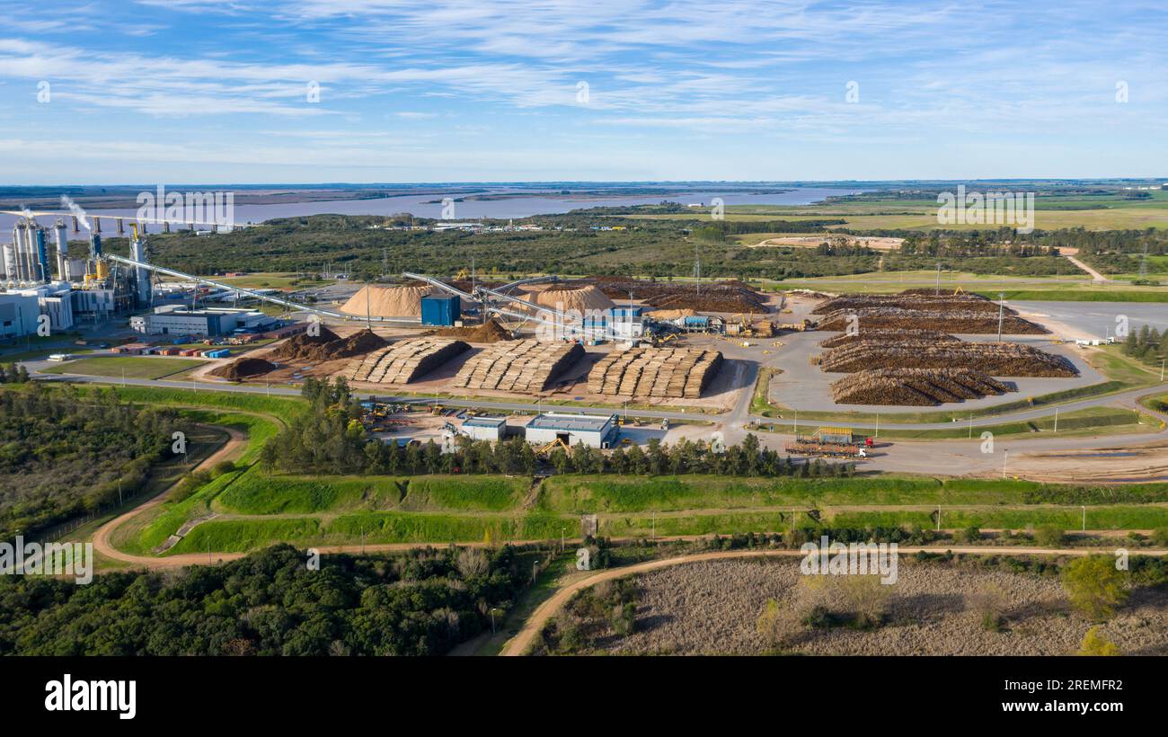Pulp mill in South America Uruguay. Aerial view of eucalyptus wood and ...