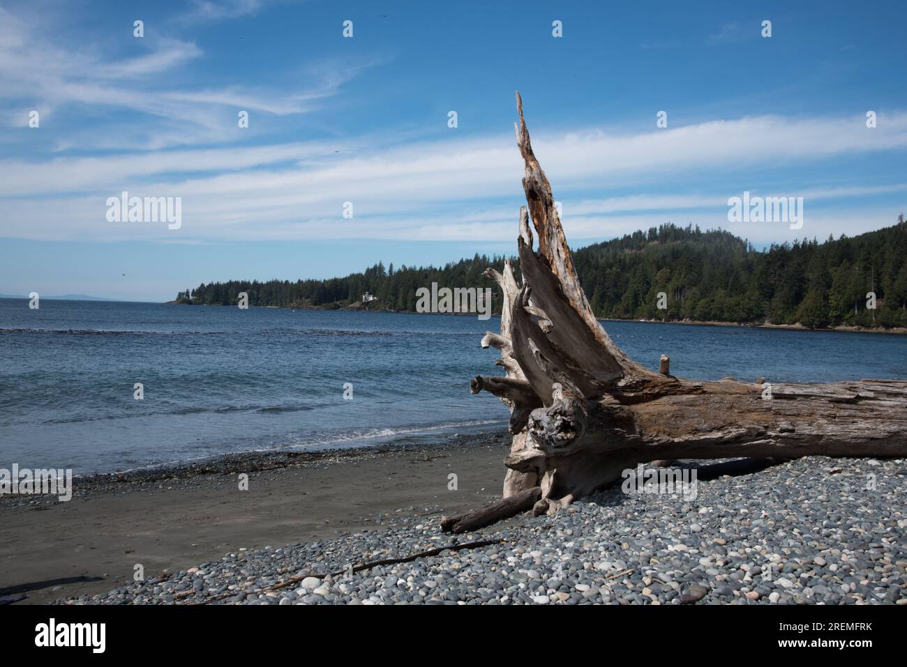 French Beach Park at the southwest park of Vancouver Island is covered ...