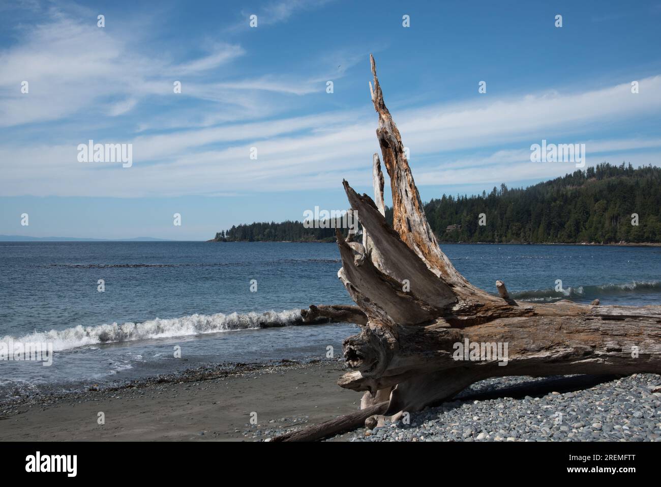 French Beach Park at the southwest park of Vancouver Island is covered ...