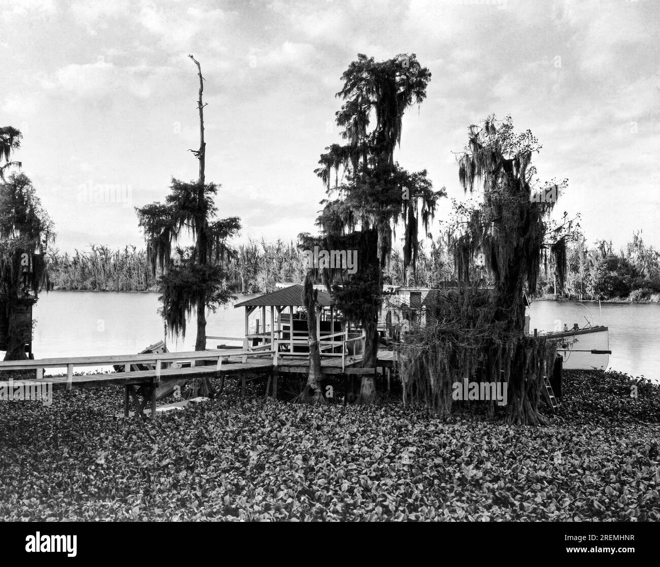 Louisiana: c. 1920 A boat landing on the Mississippi River in Louisiana ...