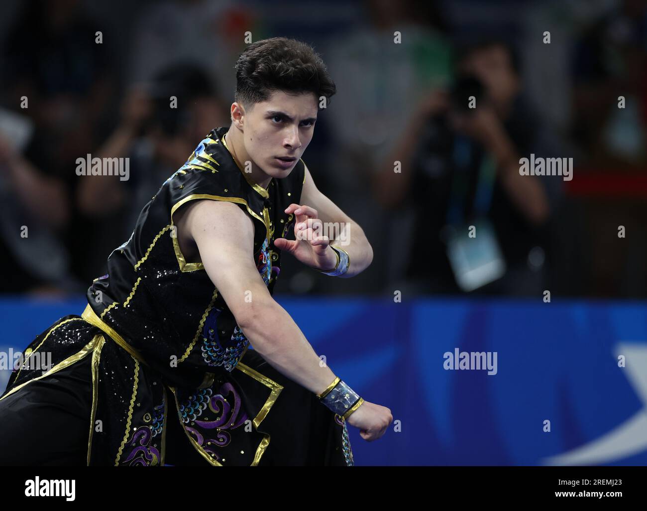 Shahin hi-res stock photography and images - Alamy