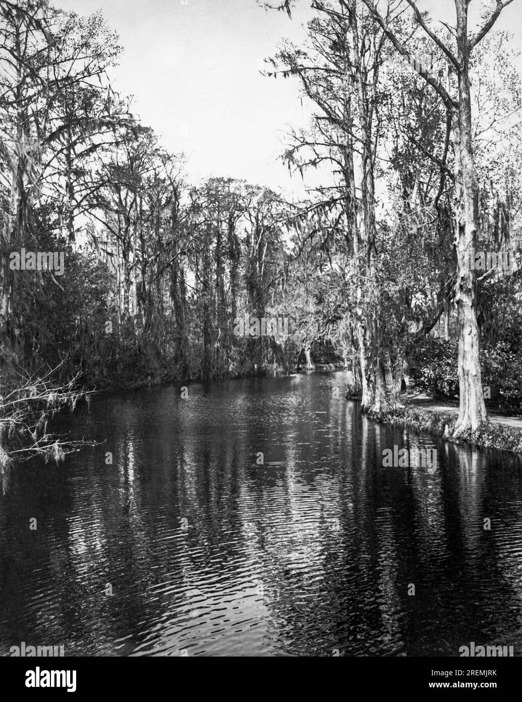 Louisiana: c. 1925 Bayou country in Louisiana Stock Photo - Alamy