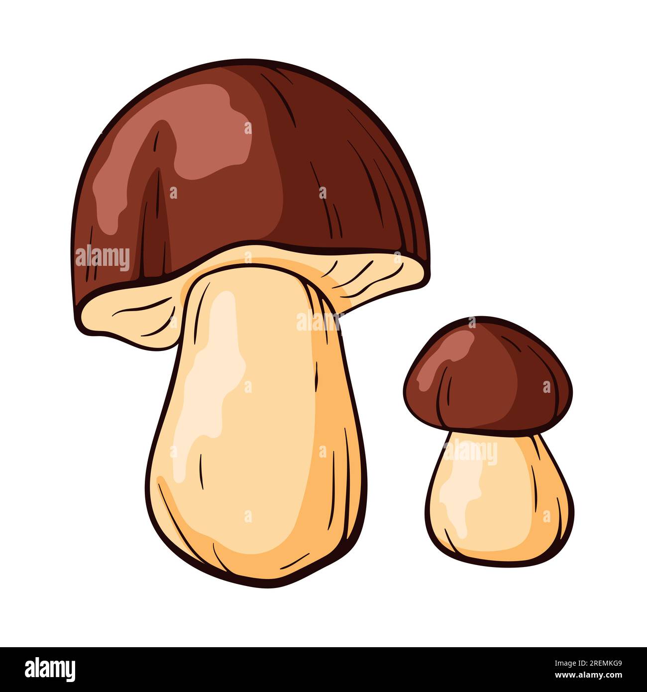 Mushroom boletus in cartoon style. Sketch hand drawn food drawing ...