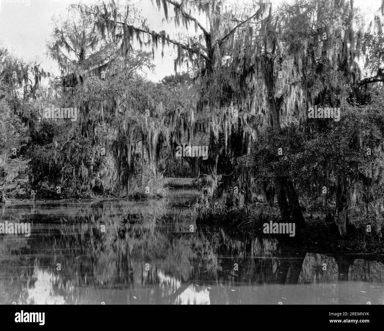 1920s 1920 louisiana hi-res stock photography and images - Alamy