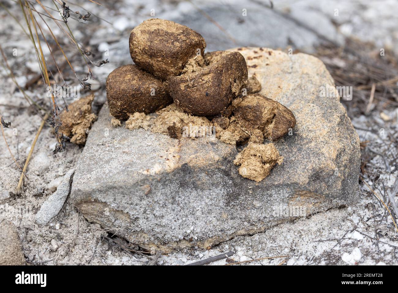 Log on a cube hi-res stock photography and images - Alamy