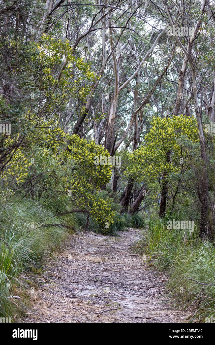 Barren grounds hi-res stock photography and images - Alamy