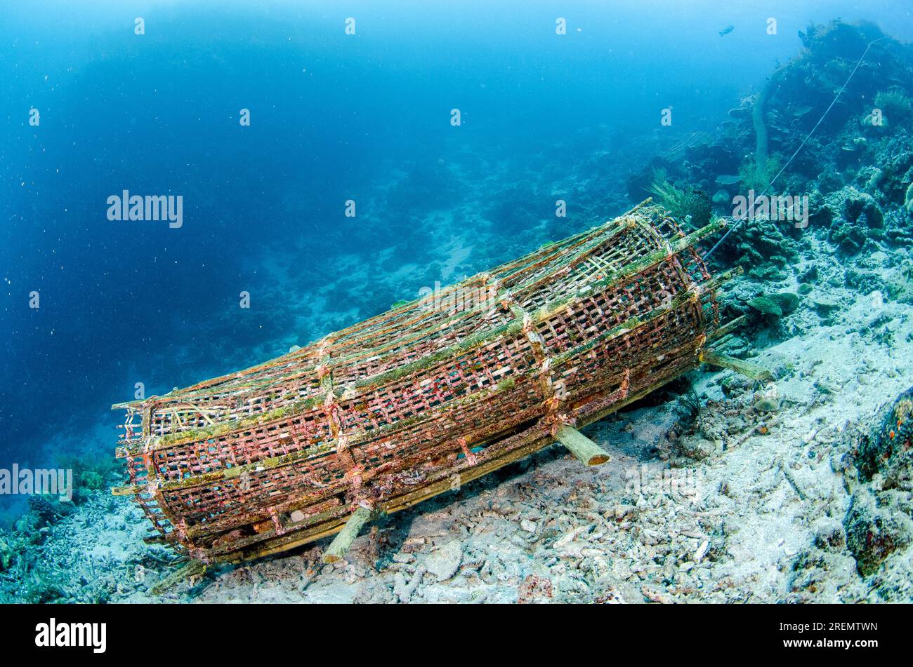 Fish trap, The Cove dive site, Atauro Island, East Timor Stock Photo ...