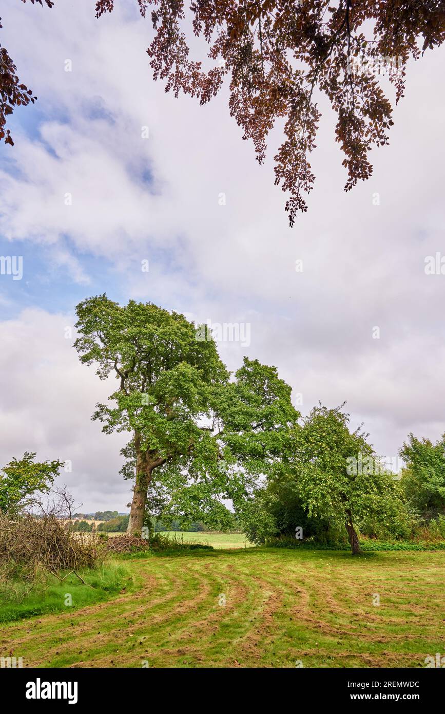 Denmark nature, countryside and environment. Nature in the Kingdom of ...