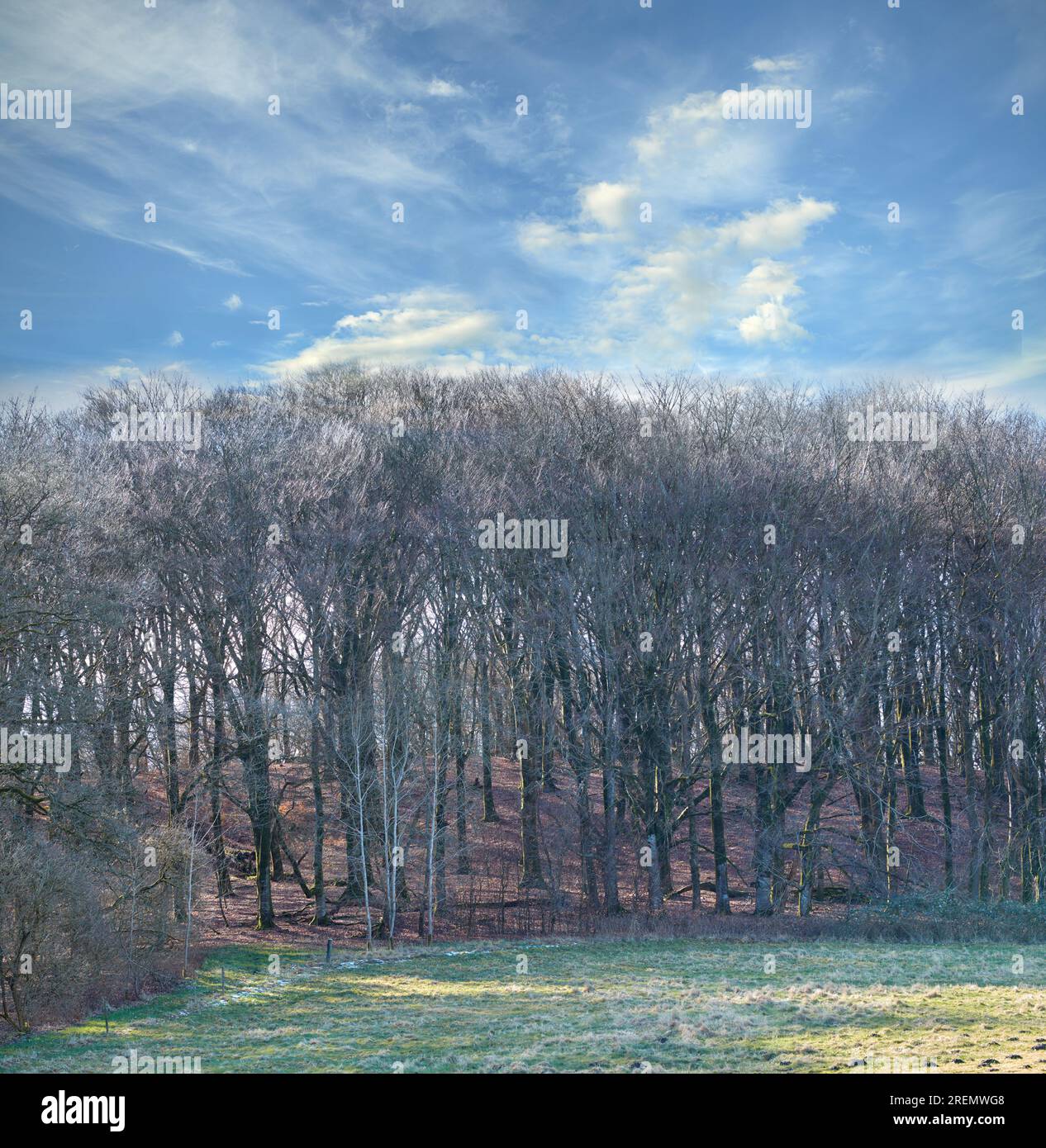 Denmark nature, countryside and environment. Nature in the Kingdom of ...