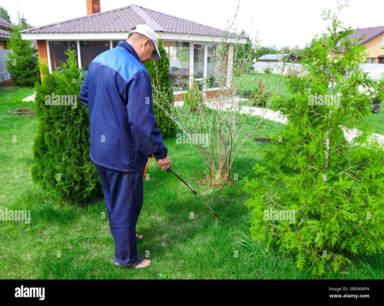 A man works in the garden, spraying weeds from a sprayer Stock Photo ...