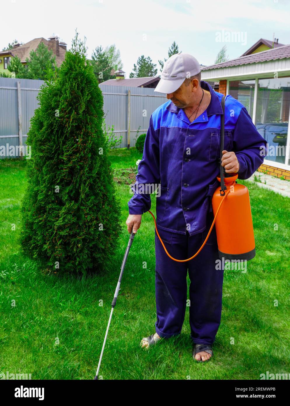 A man works in the garden, spraying weeds from a sprayer Stock Photo ...