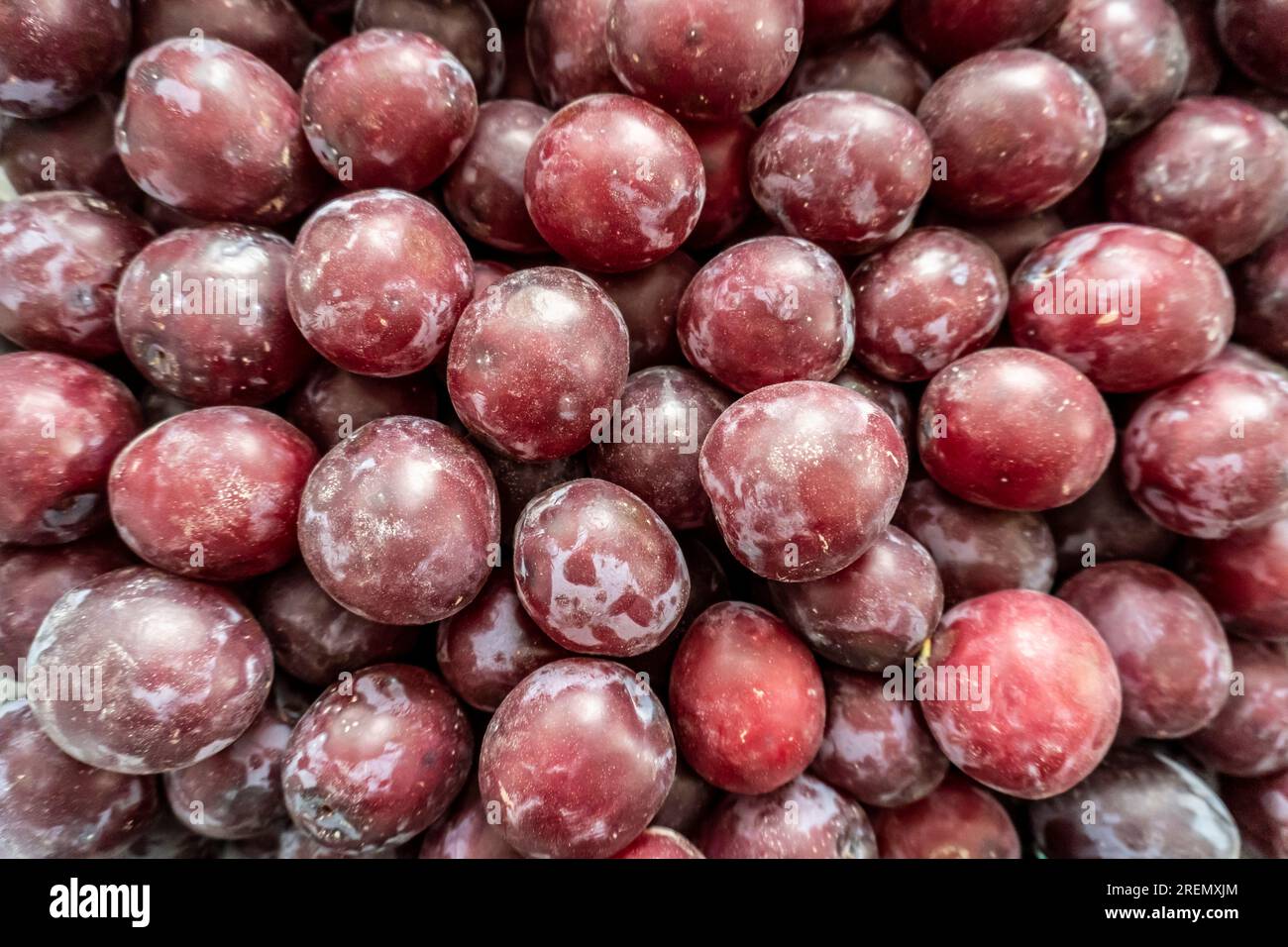 photo of a lot of plums on the counter of the store Stock Photo - Alamy