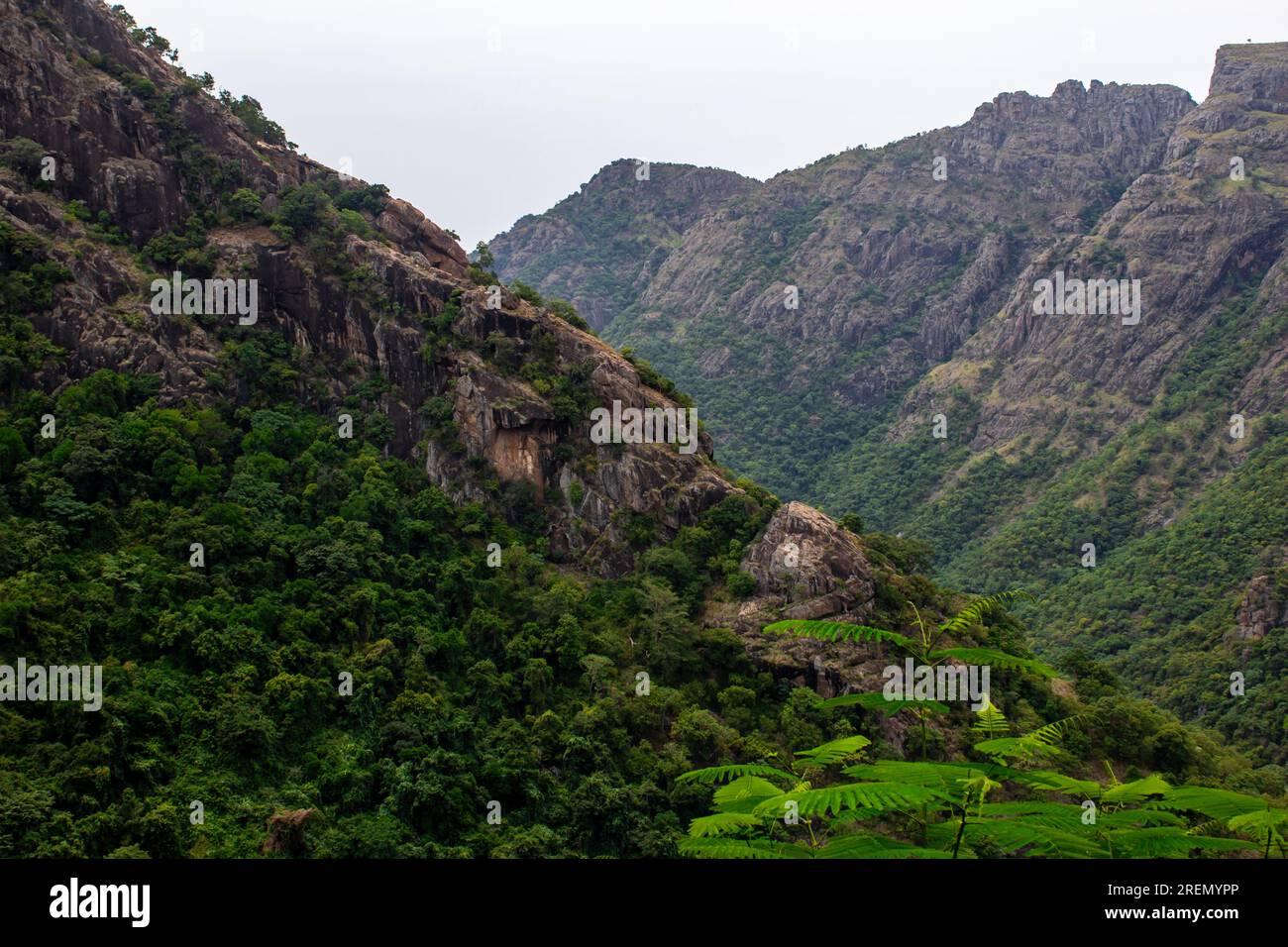 Scenic landscape of the kolli hills in the Namakkal district, Tamil ...