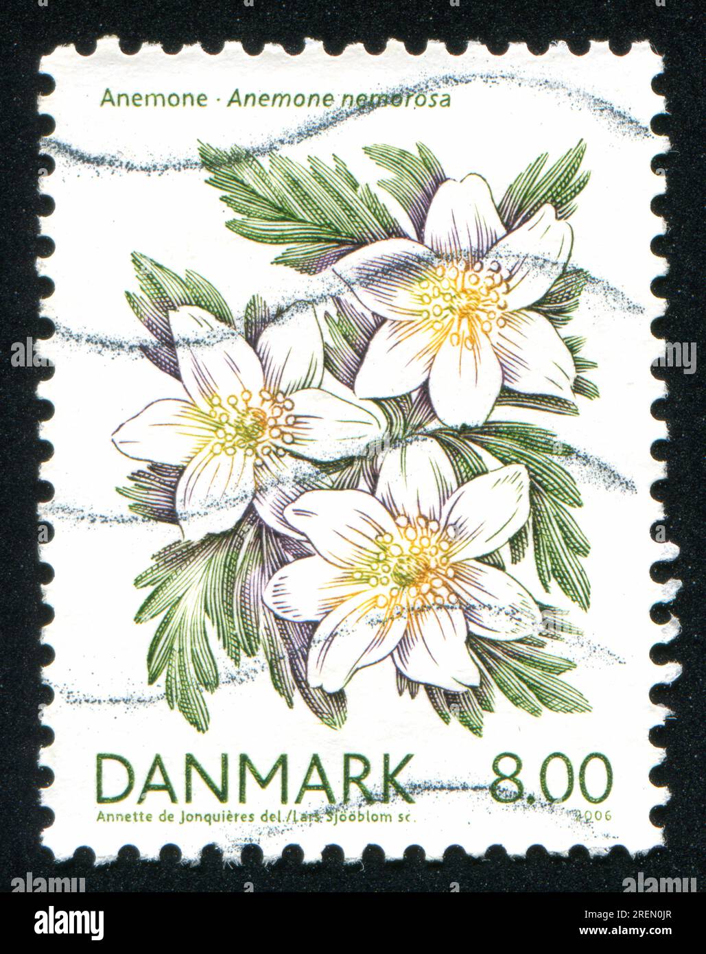 DENMARK - CIRCA 2006: stamp printed by Denmark, shows flower Anemone ...