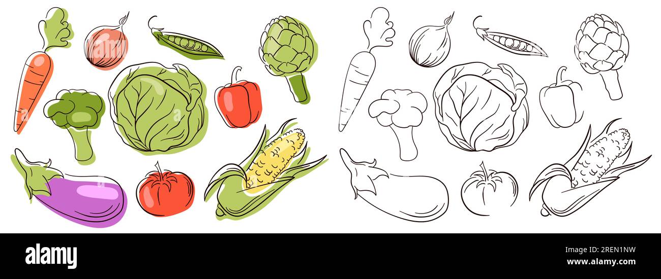 Vegetables set in line art style. Illustration of colored and ...