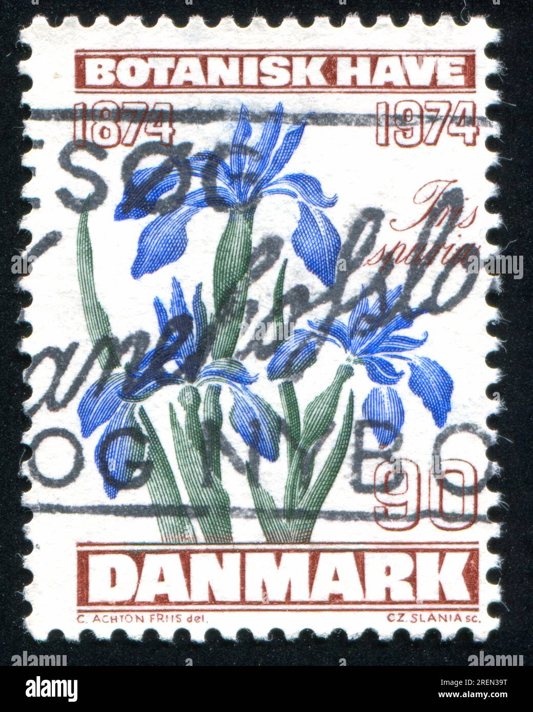 DENMARK - CIRCA 1974: stamp printed by Denmark, shows flower Iris ...