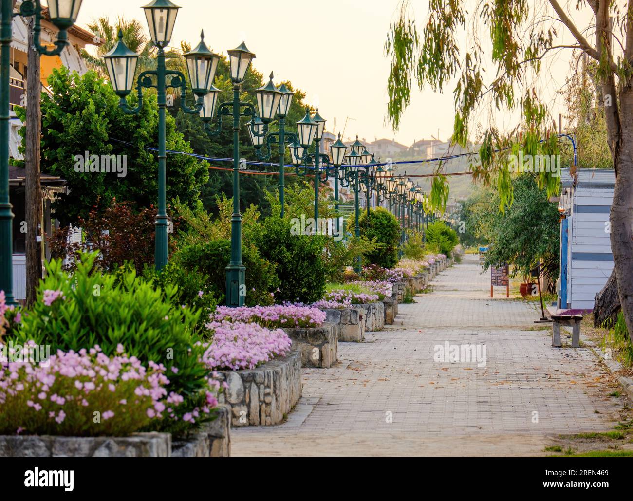 Beautiful street view with alley with summer flowers Stock Photo - Alamy