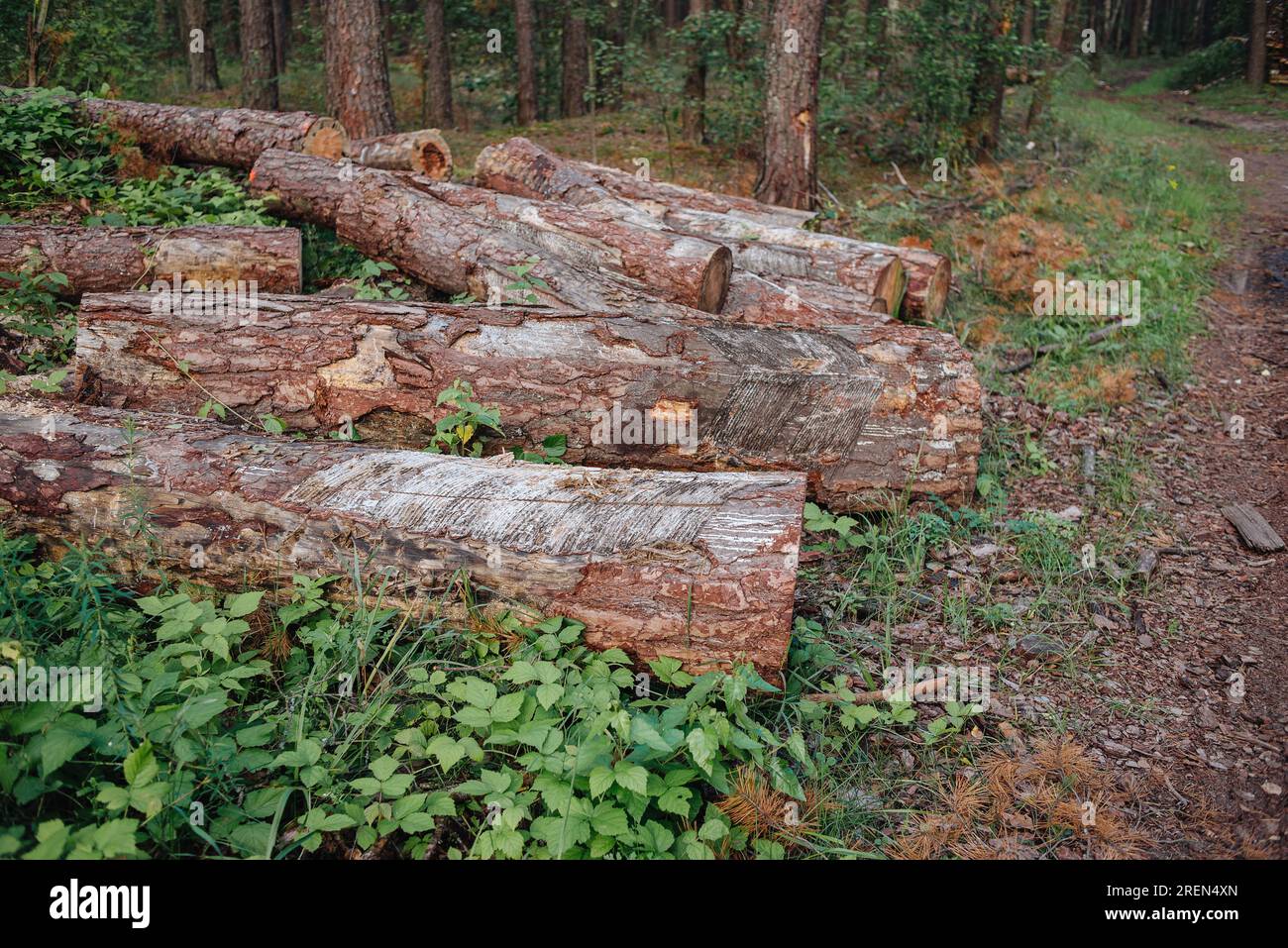 Degradation of the urban environment hi-res stock photography and ...