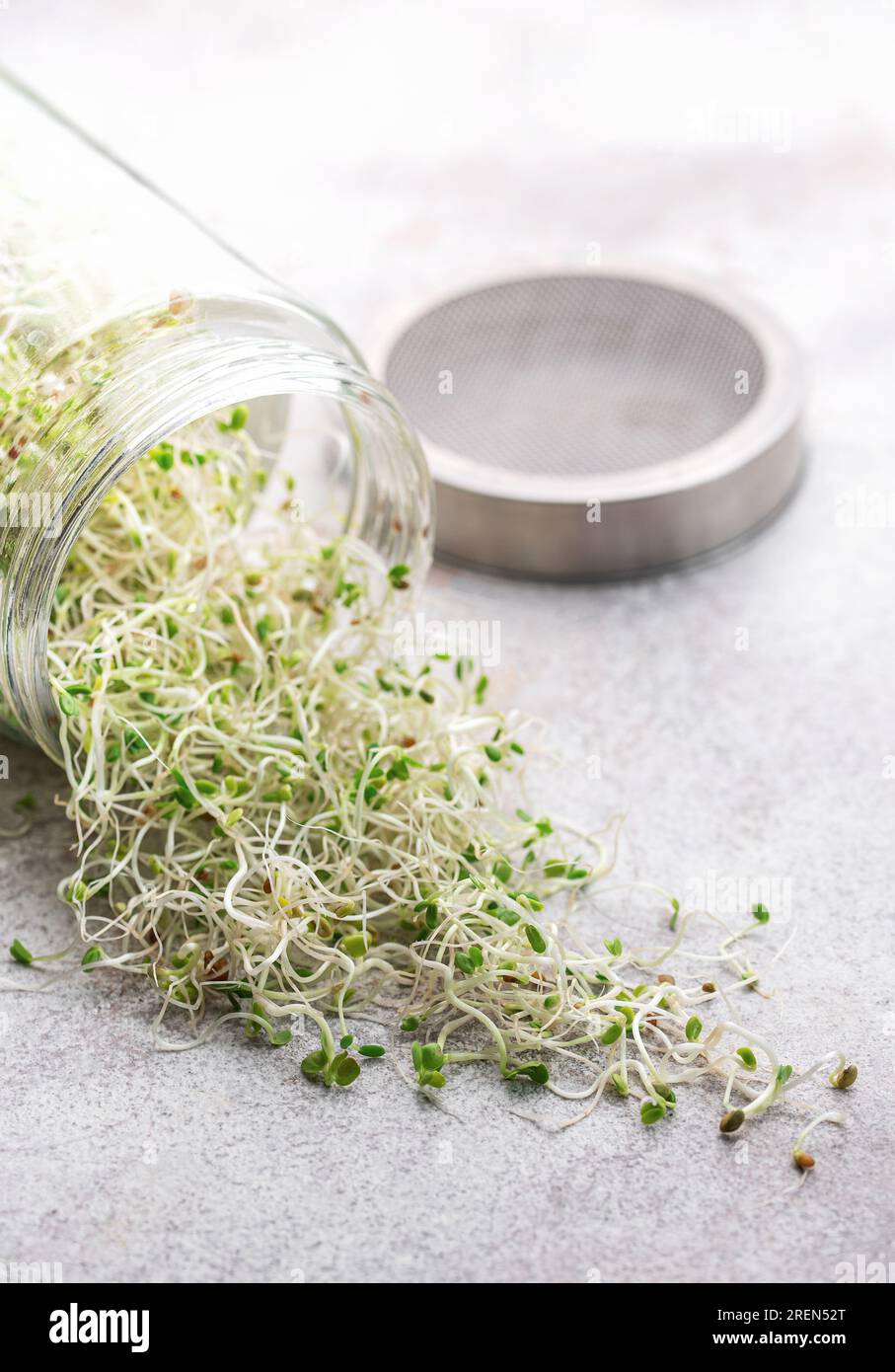 Microgreens grown in a jar. Healthy Eating Stock Photo - Alamy