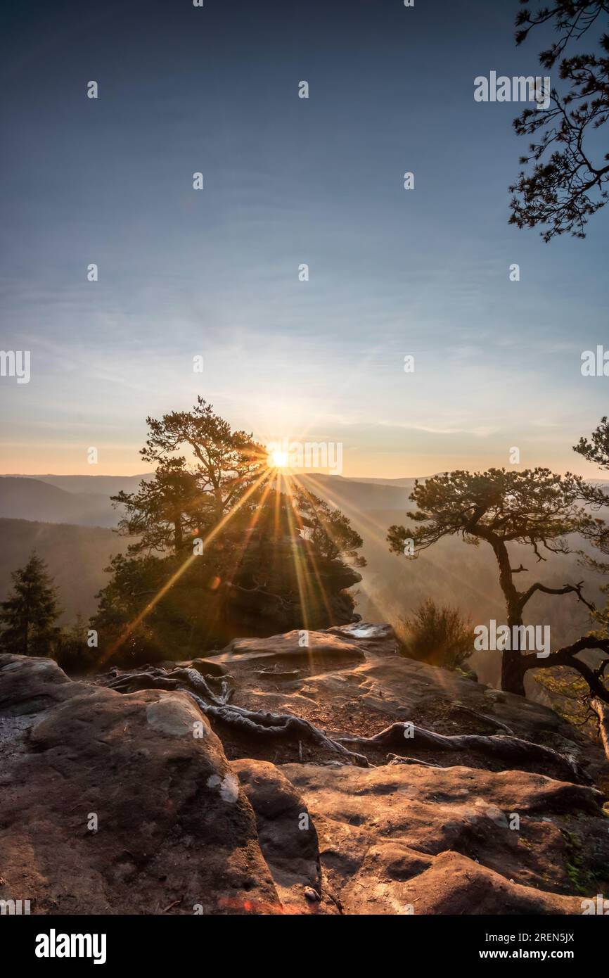 Beautiful view of the landscape at sunrise or sunset. Backlit picture ...