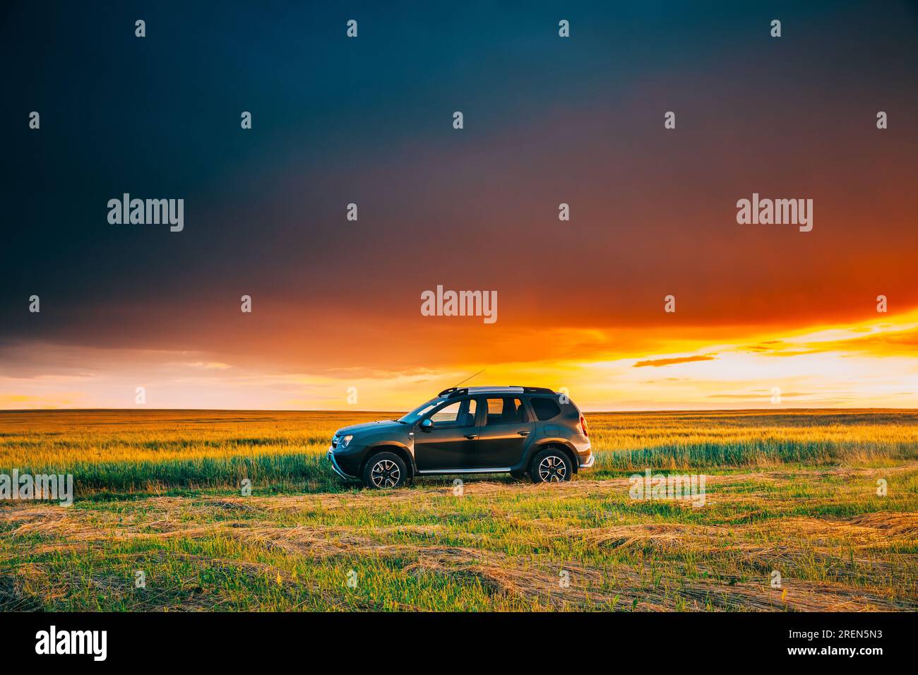 AWD 4WD SUV green car in summer meadow landscape in summer field ...
