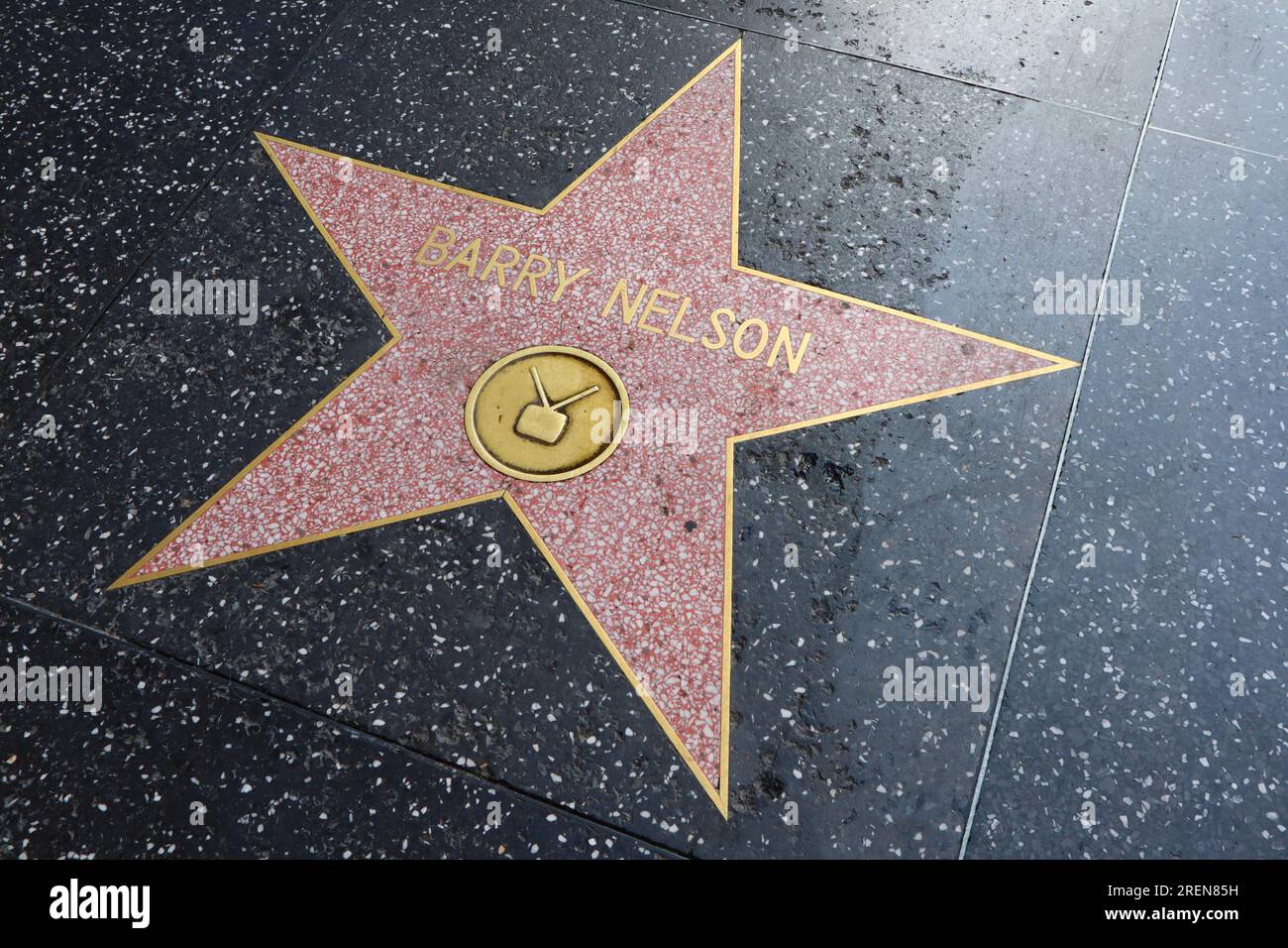 Hollywood (Los Angeles), California: Star of BARRY NELSON on Hollywood ...
