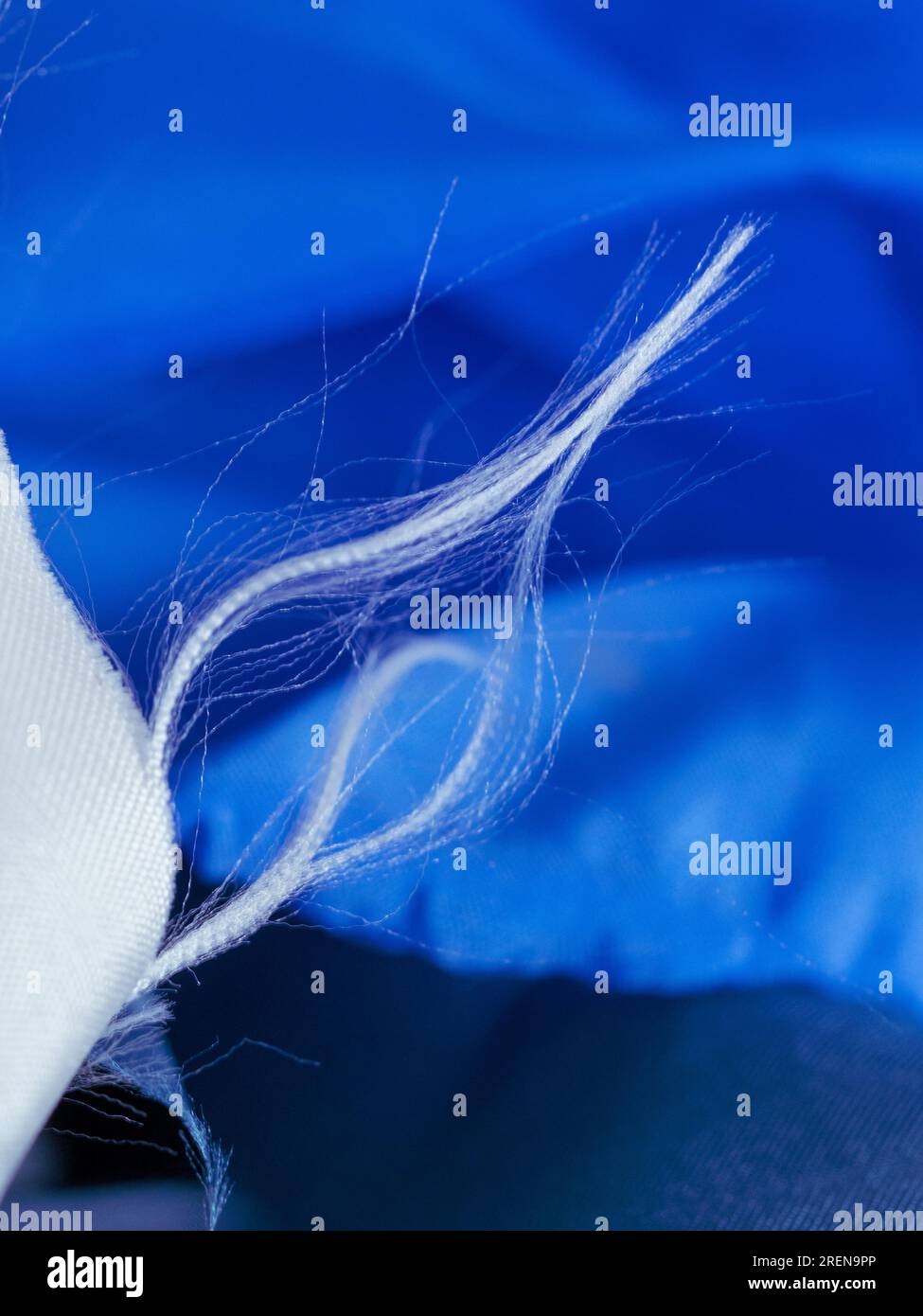 White fabric silky threads on rough edge fraying, on blue satin ...
