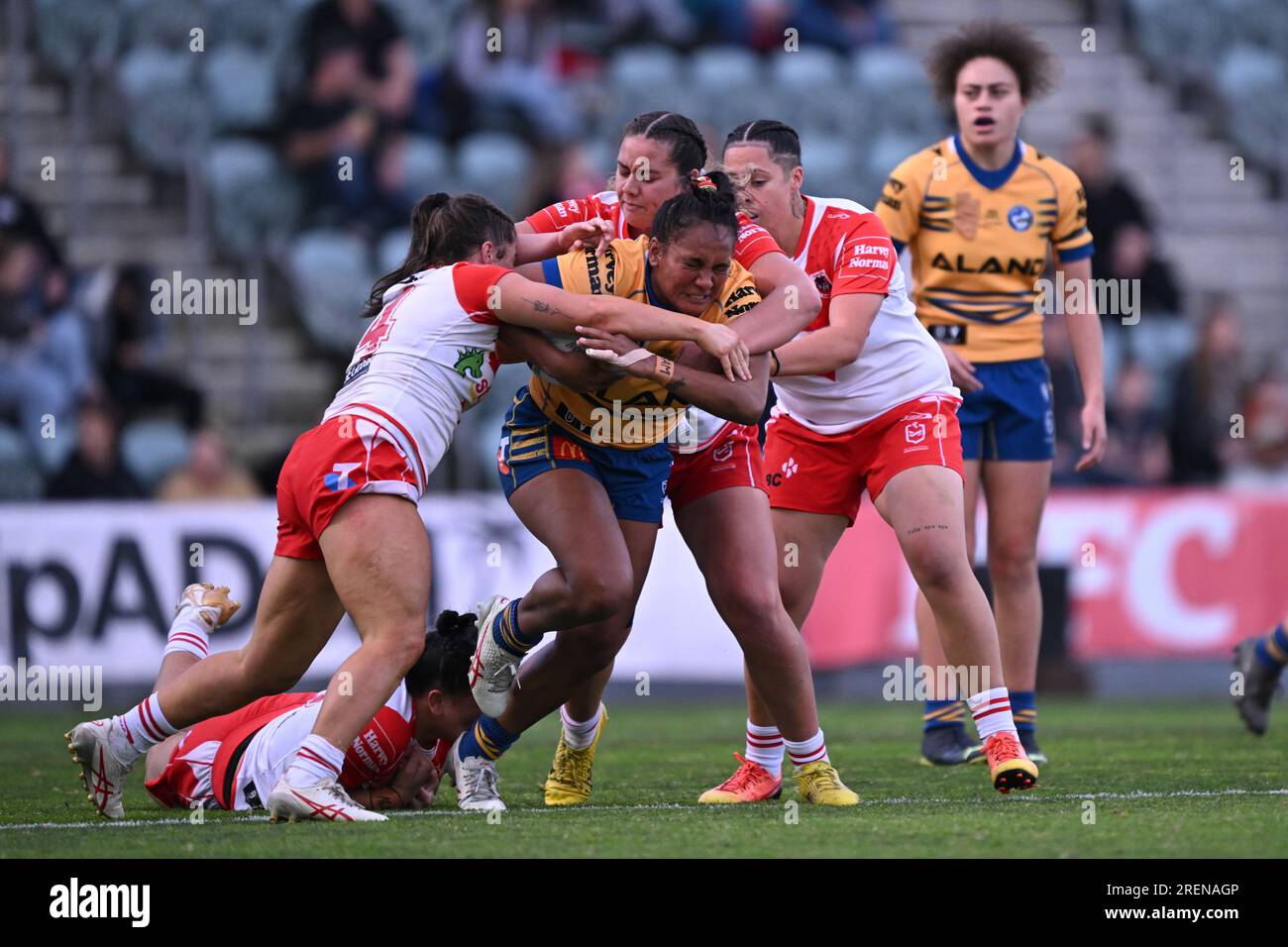 Wollongong, Australia. 29th July, 2023. Mahalia Murphy of the Eels ...
