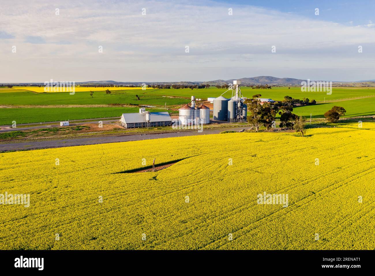 Aerial view of grain silos alongside fields of canola at Moolort in ...