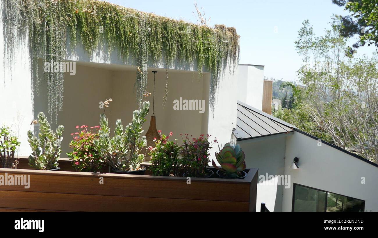 Los Angeles, California, USA 28th July 2023 Comedian/Actor Jim J ...