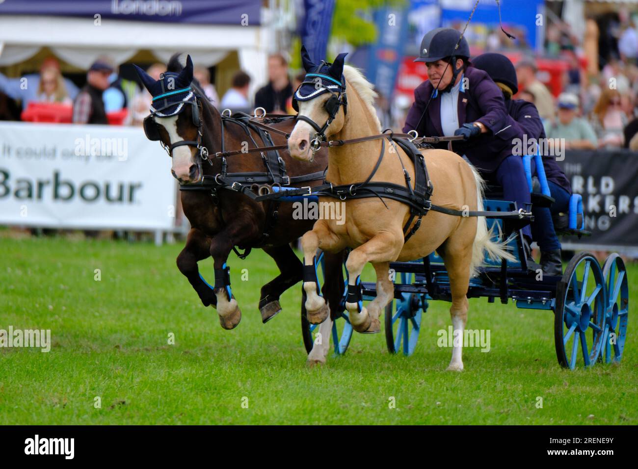 Game fair ragley hall hi-res stock photography and images - Alamy