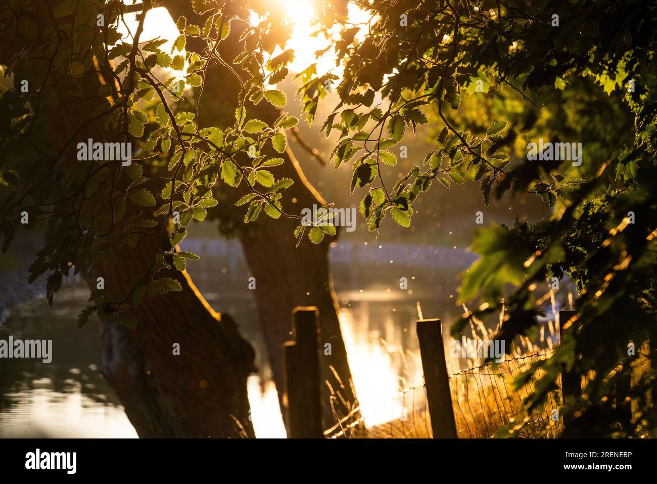 Glasbrukets vandarhem hi-res stock photography and images - Alamy