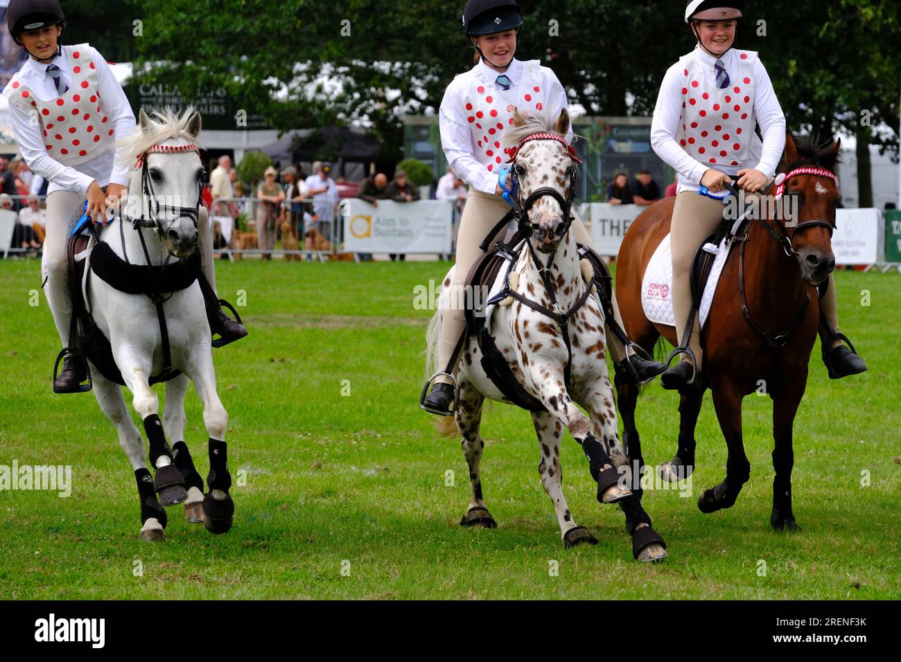 Pony club mounted games hi-res stock photography and images - Alamy