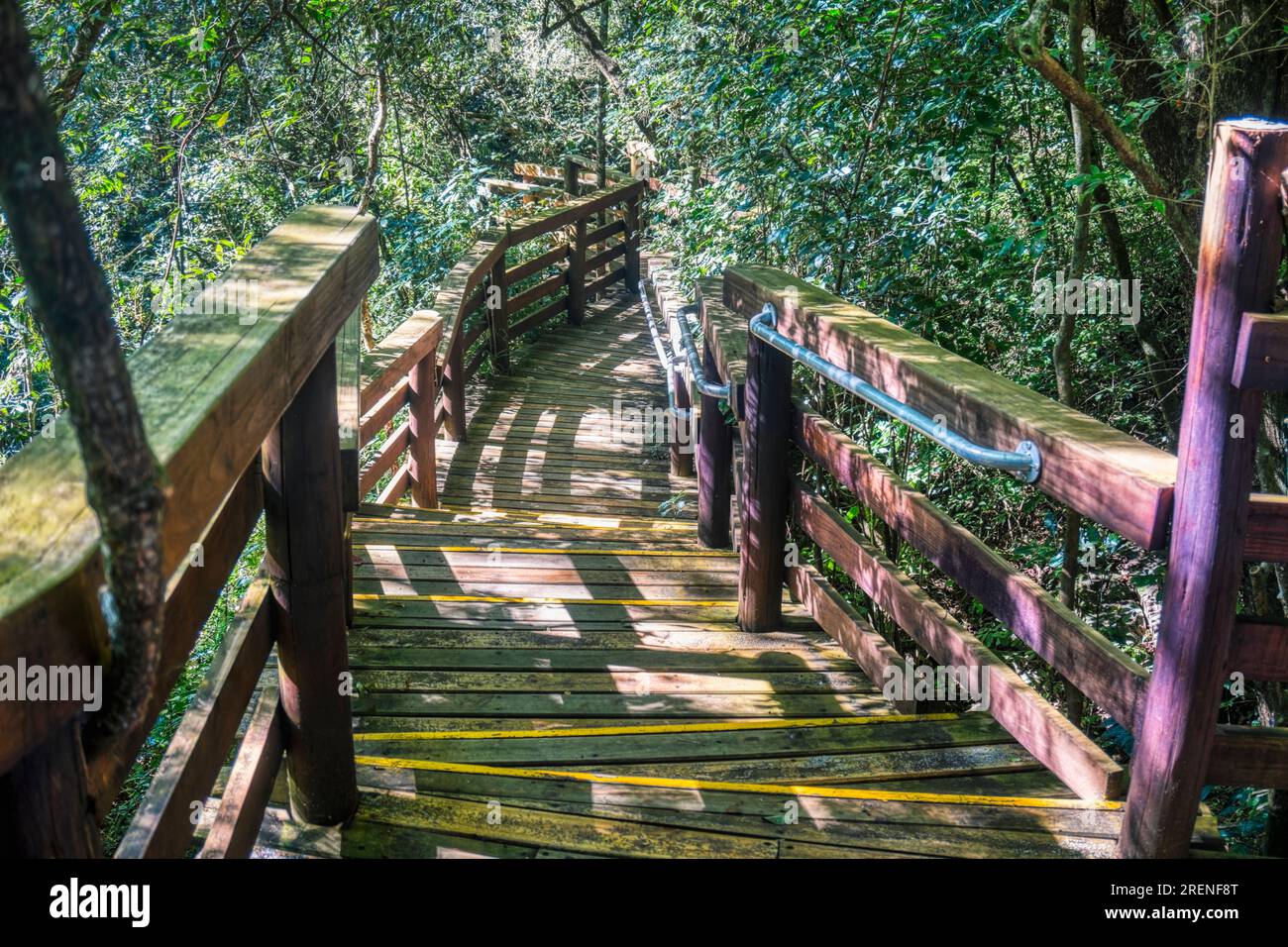 South Africa, Graskop Gorge, recreation area wooden bridge journey into ...