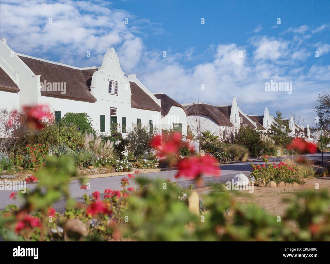 Cape Dutch houses in Church Street in Tulbagh, in the Western Cape ...