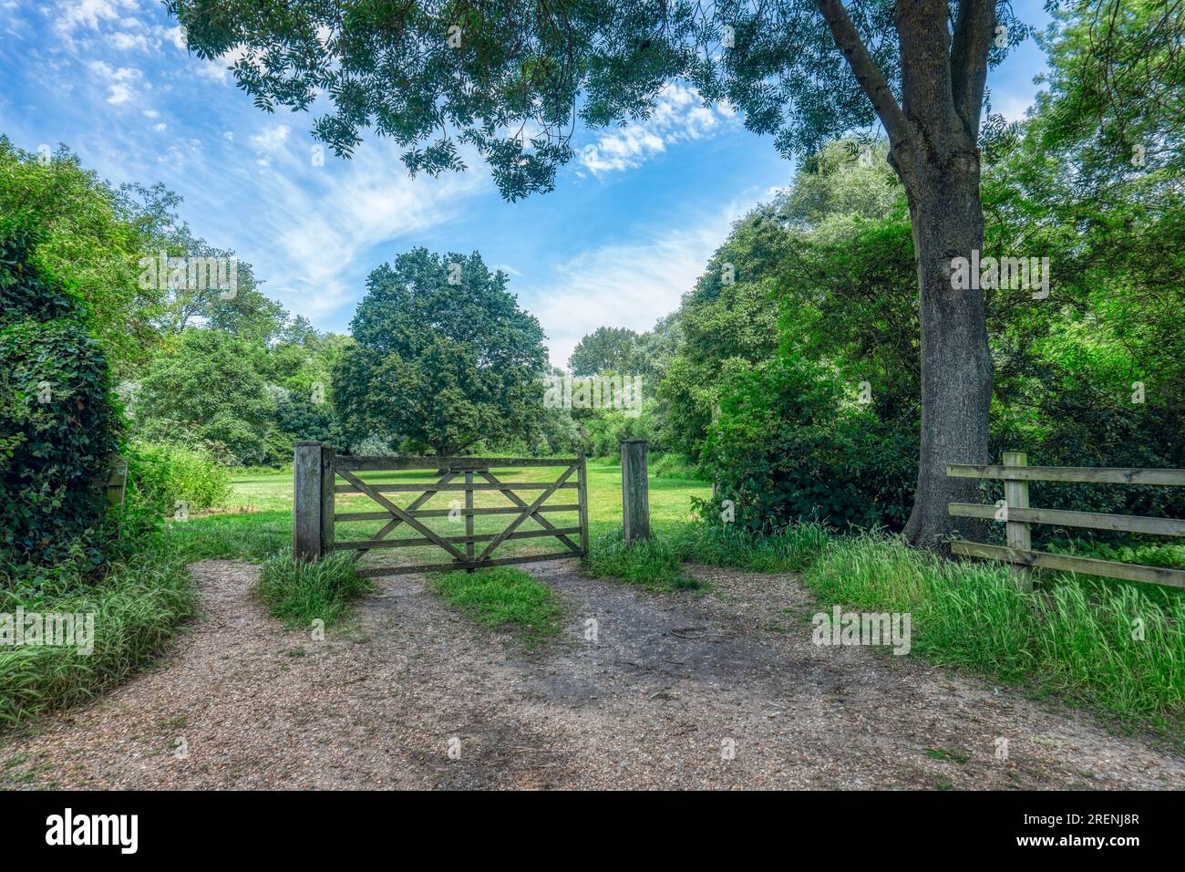 exit wooden farm gate in south africa, gravel road and green forest ...
