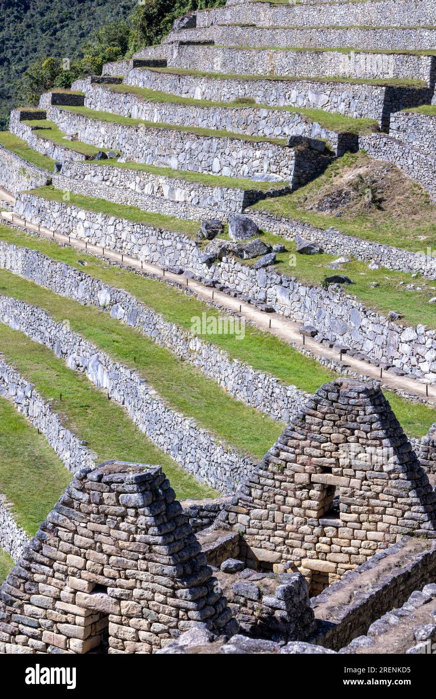 agricultural terraces, Inca ruins of Machu Picchu, Peru, South America ...
