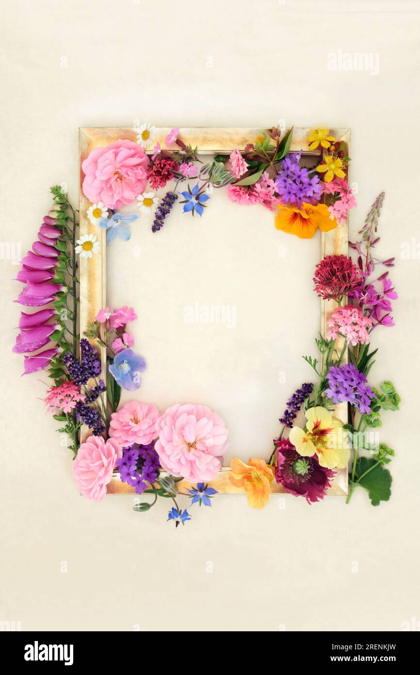 Herbal frame hi-res stock photography and images - Alamy