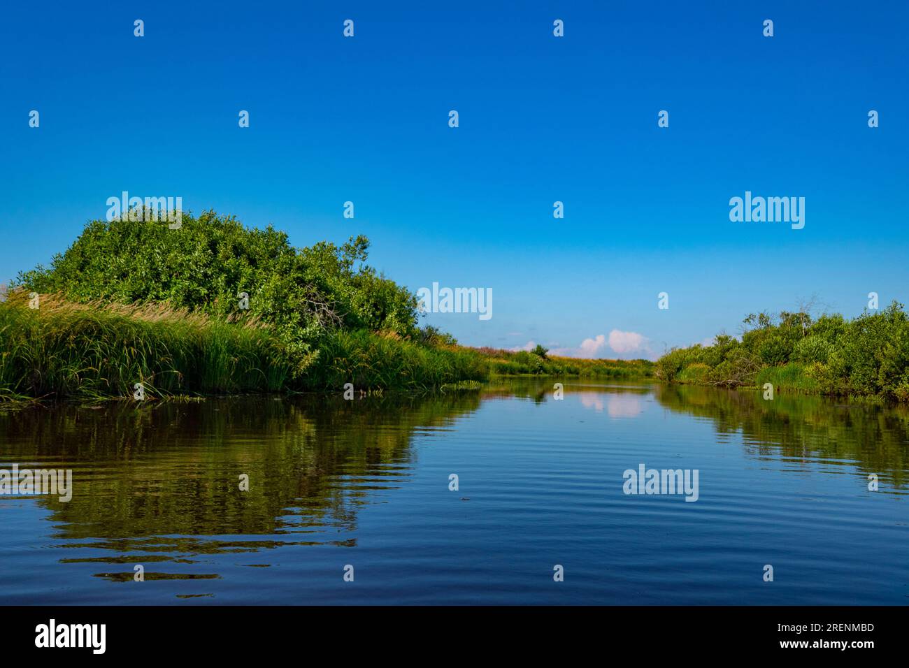 This small northern swamp river with a short course, slow current. The ...