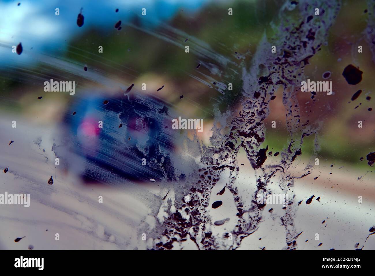 Flies on car windscreen hi-res stock photography and images - Alamy