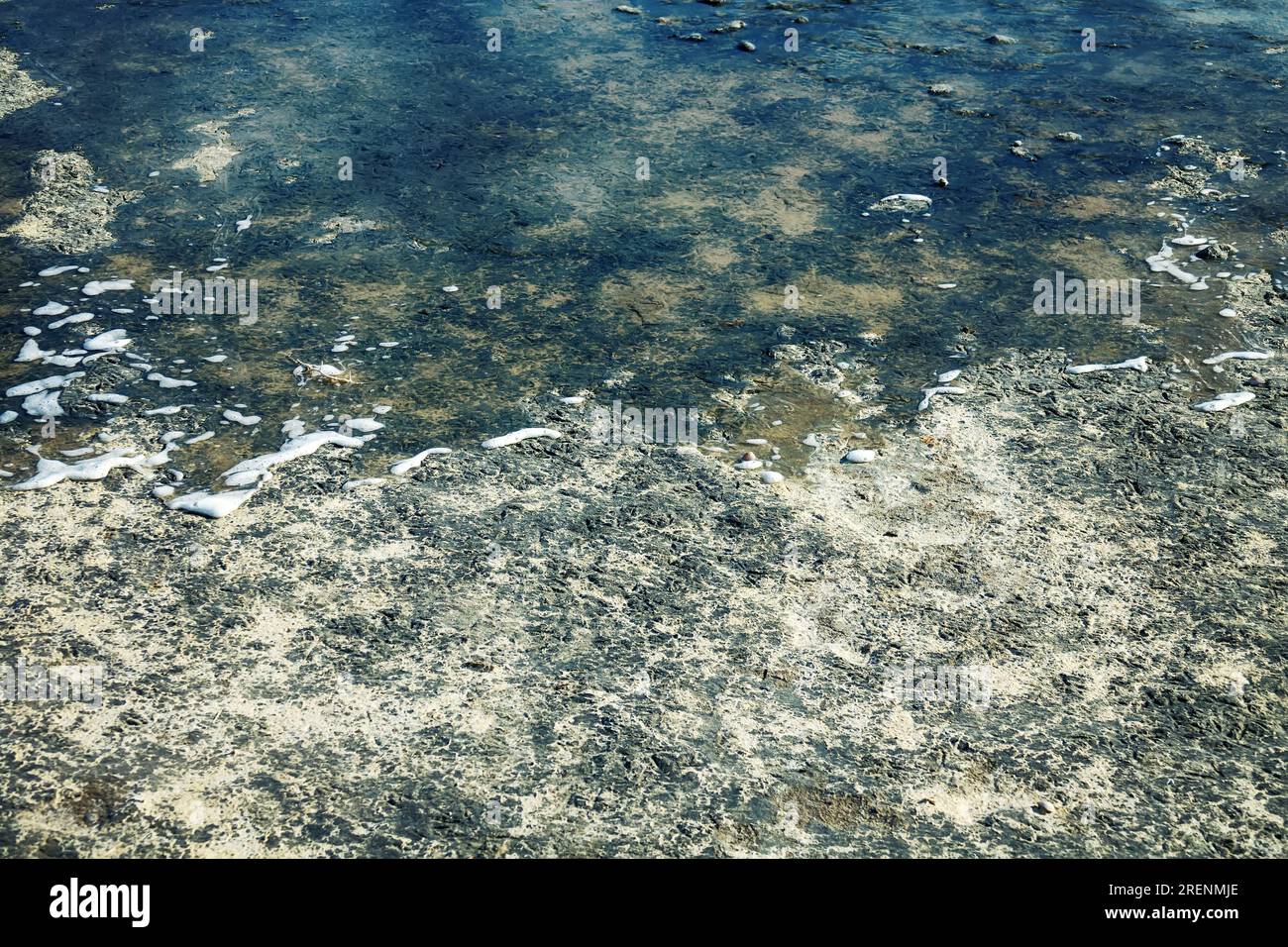 Wind-induced water level fluctuations in the salty shallow bays of the ...
