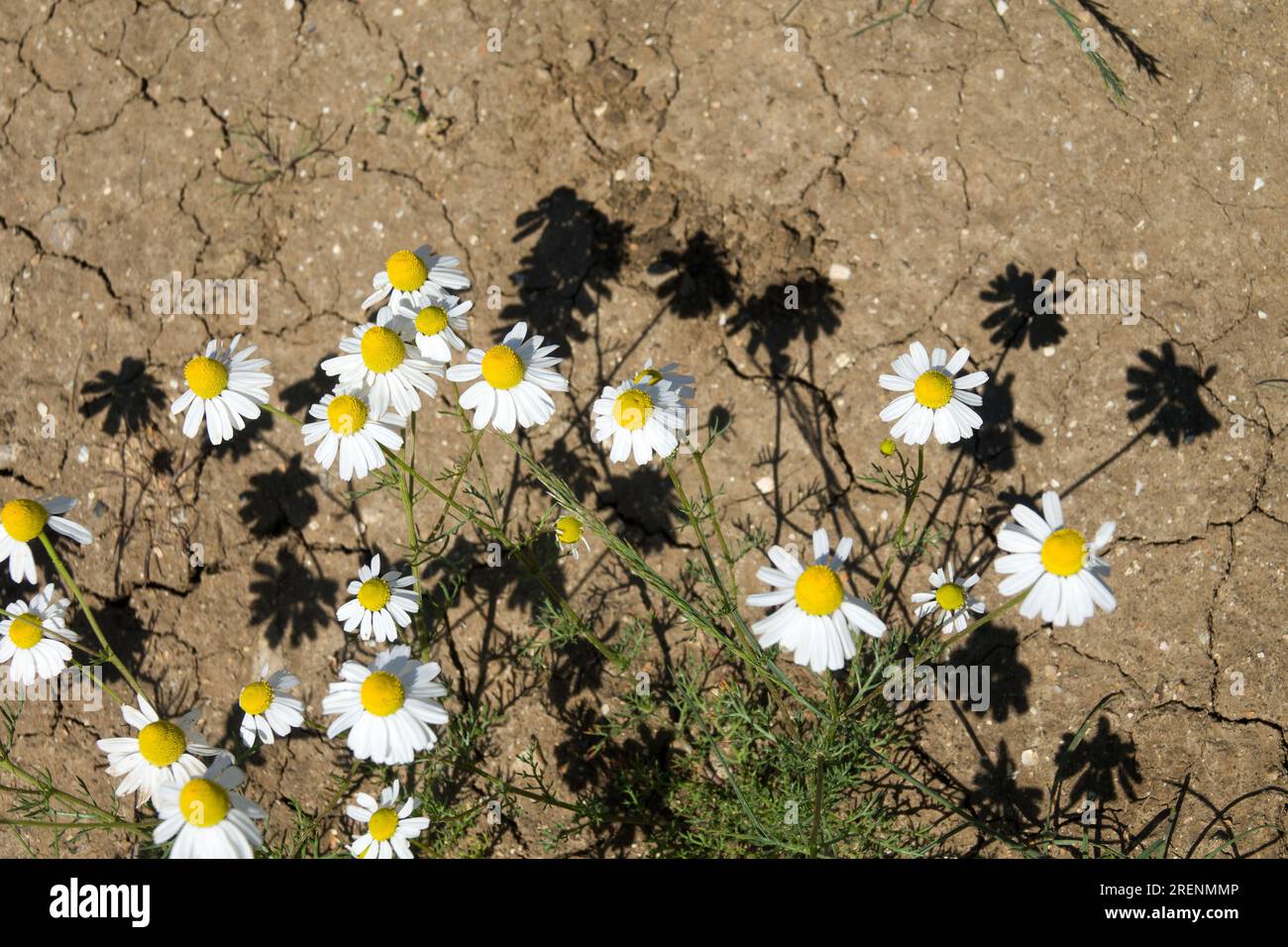 Graphicity hi-res stock photography and images - Alamy