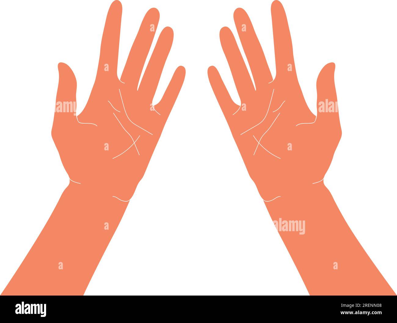 Top view on two hands, palms up. Vector illustration isolated on white ... Top view on two hands, palms up. Vector illustration isolated on white ...