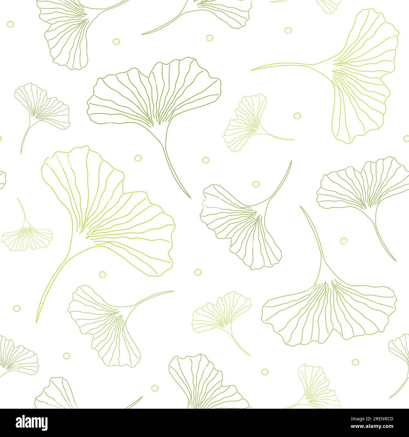 Gingko biloba outline isolated on white background. Botanical seamless ...