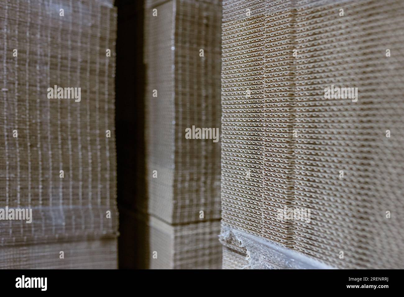 Folding cardboard boxes. Perforated sheets of corrugated cardboard a ...